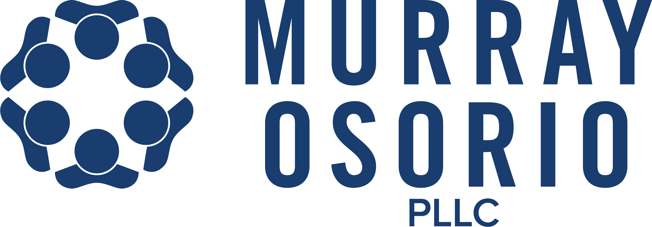 Meet the Team | Murray Osorio PLLC